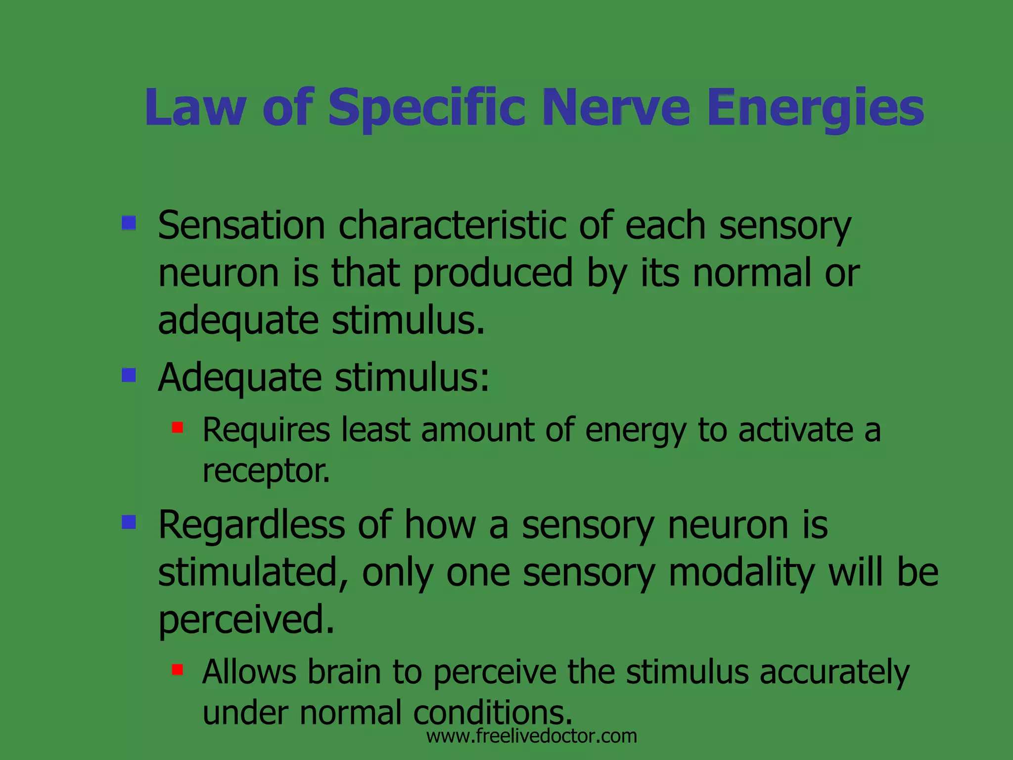 Sensory Physiology | PPT