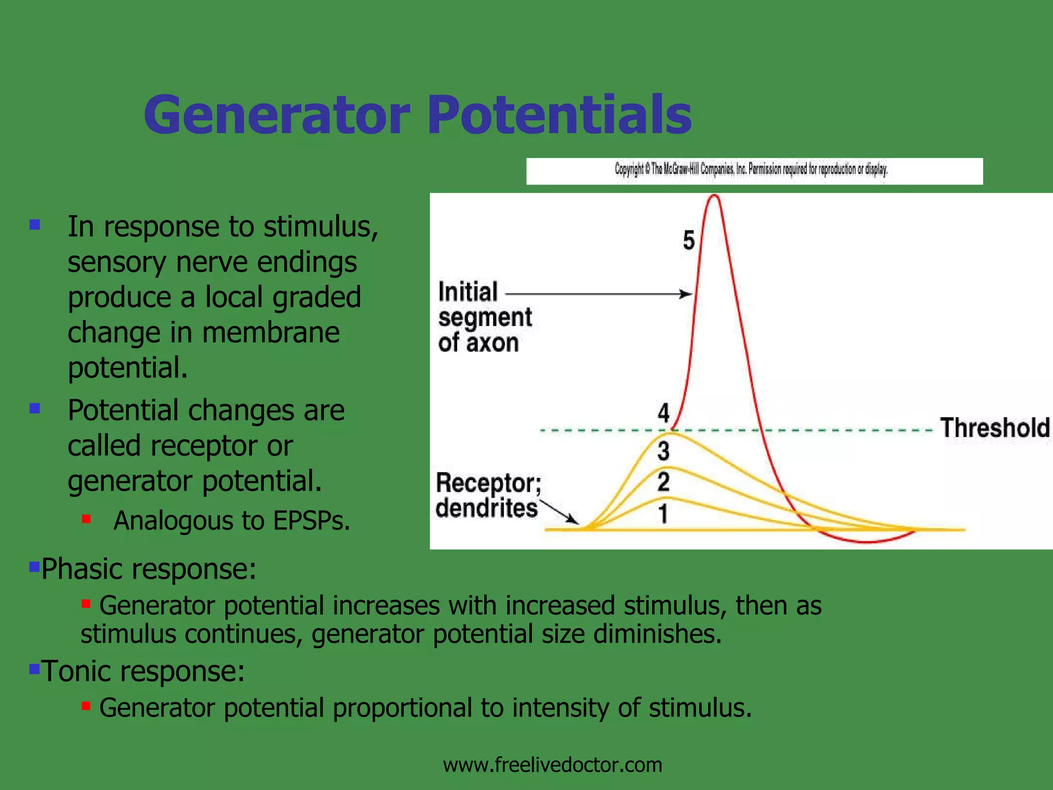 Sensory Physiology | PPT