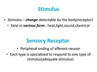 Sensory physiology agasi final | PPT