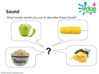 Sensory powerpoint | PPT