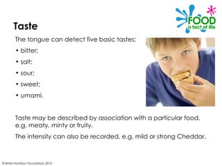 Sensory powerpoint | PPT