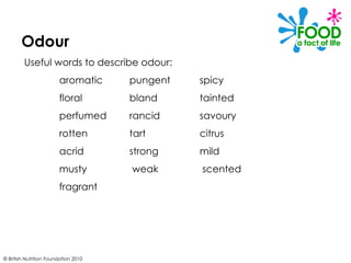 Sensory powerpoint | PPT