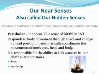 Sensory power point why does my child act that way | PPTX