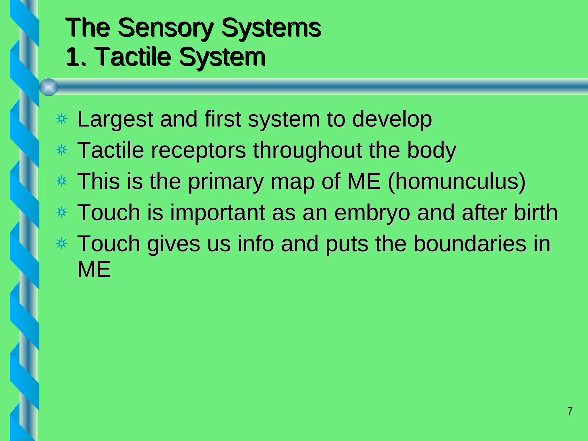 Sensory Presentation7 2009 3 | PPT