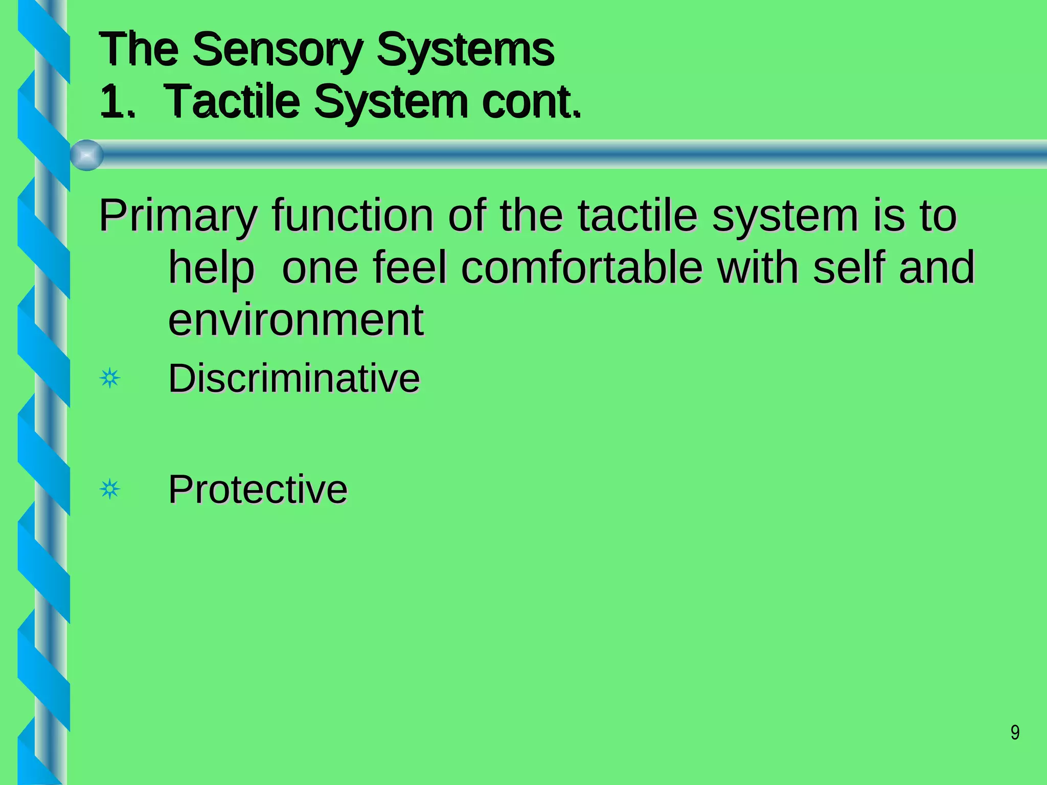 Sensory Presentation7 2009 3 | PPT