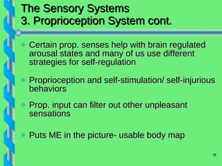 Sensory Presentation7 2009 3 | PPT