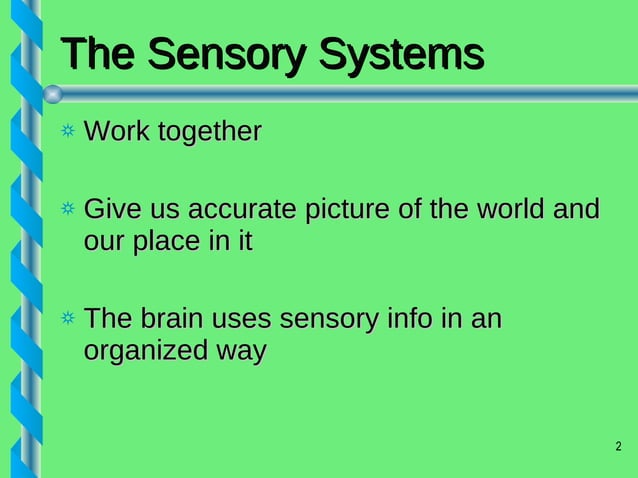 Sensory Presentation7 2009 3 | PPT