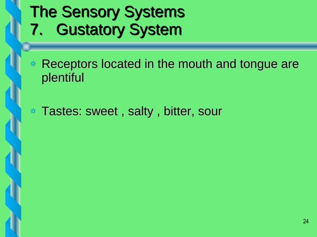 Sensory Presentation7 2009 3 | PPT