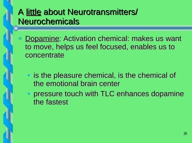 Sensory Presentation7 2009 3 | PPT