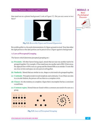 Sensory processes attention and perception | PDF
