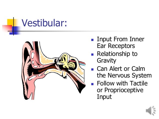 Sensory processing disorders ppt with voice