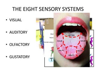 Sensory Processing in Infants and Toddlers | PPTX