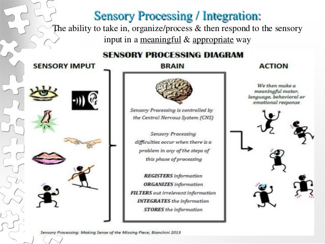 Sensory Processing - Making Sense of the Missing Piece - Melissa Bian…