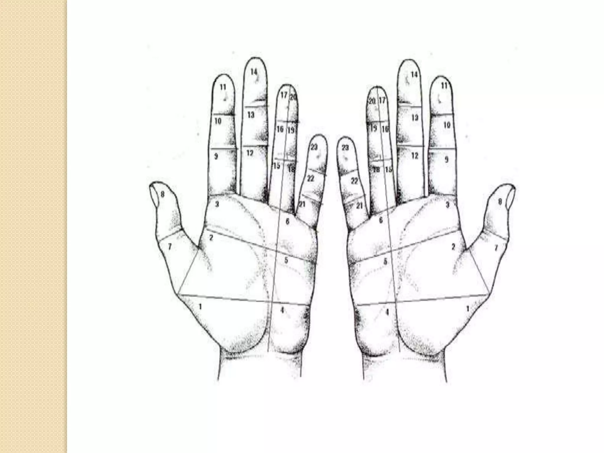 Sensory Re-education | PPTX