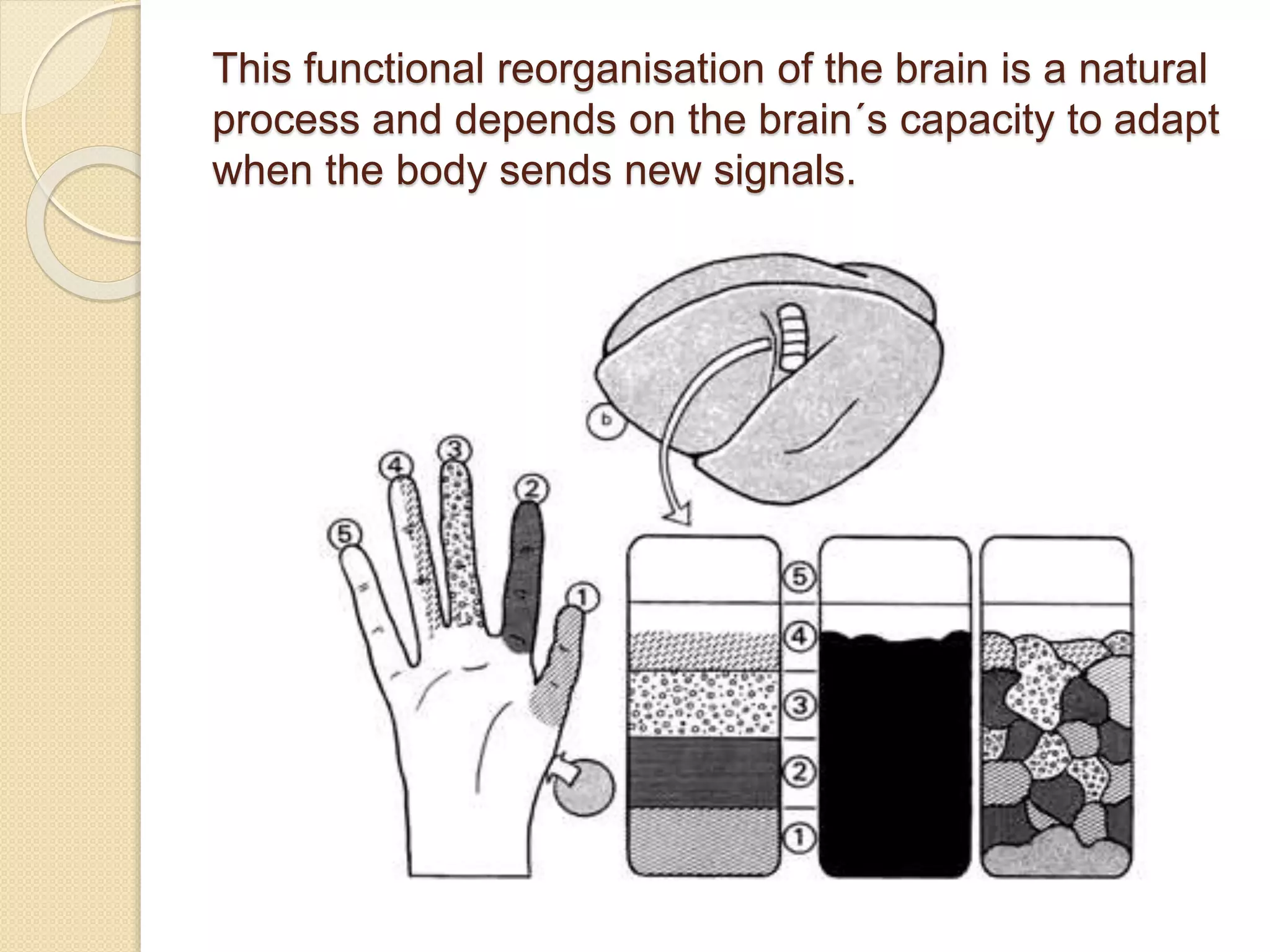 Sensory Re-education | PPTX