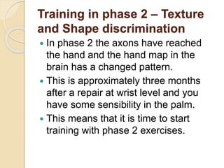 Sensory Re-education | PPTX