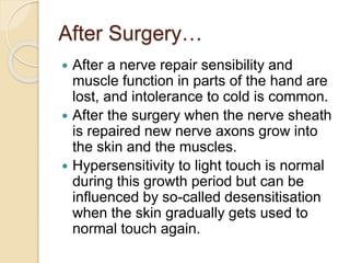 Sensory Re-education | PPTX