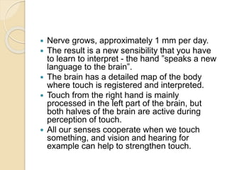 Sensory Re-education | PPTX