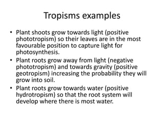 Sensory reception | PPT