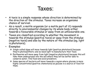 Sensory reception - A2 AQA Bilology | PPT