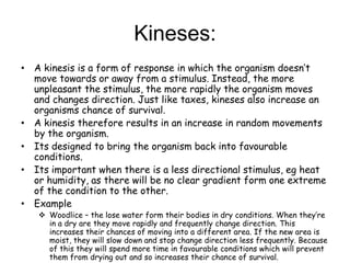 Sensory reception - A2 AQA Bilology | PPT