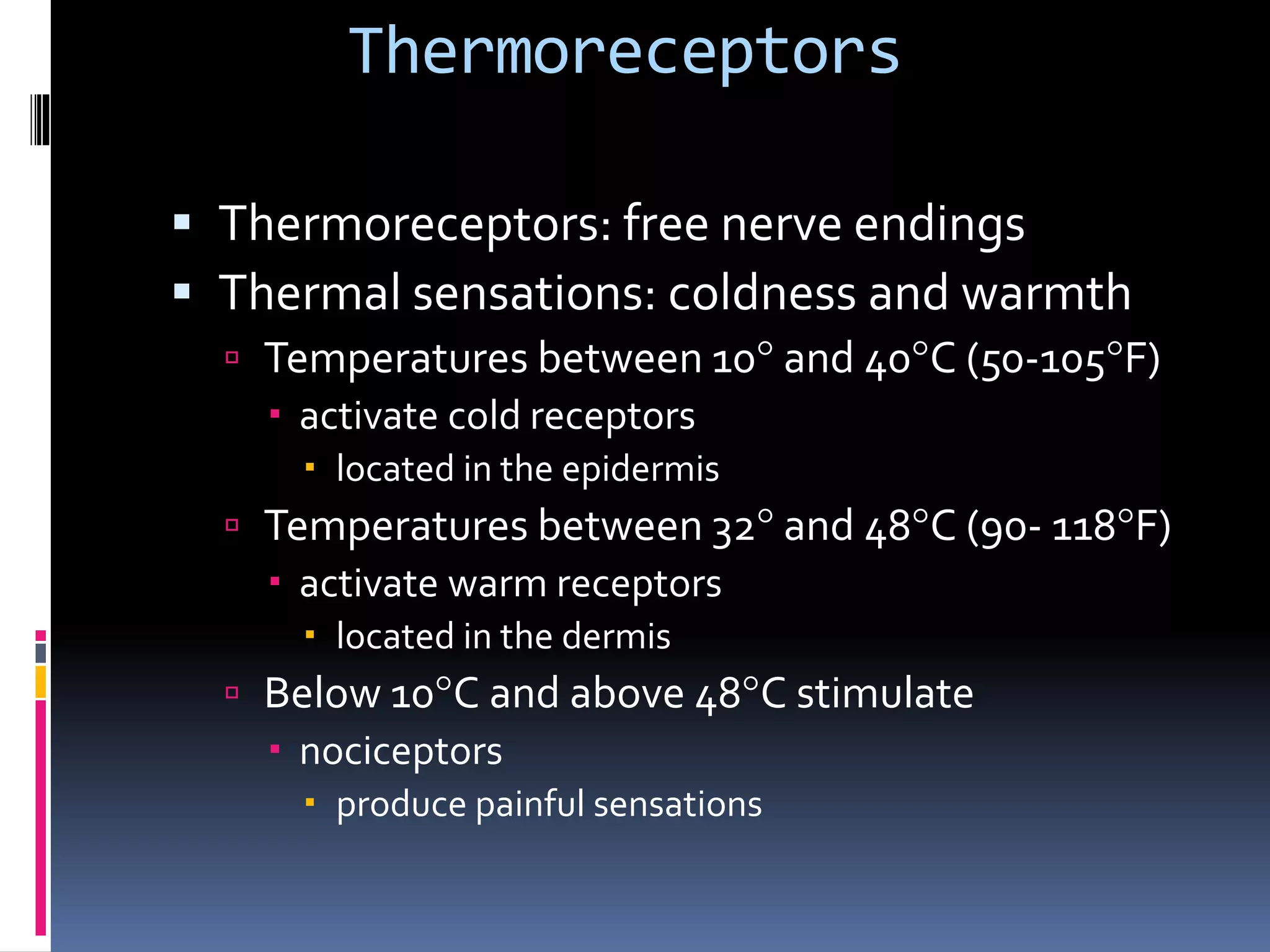 Classification of Sensory receptor 2 | PPT