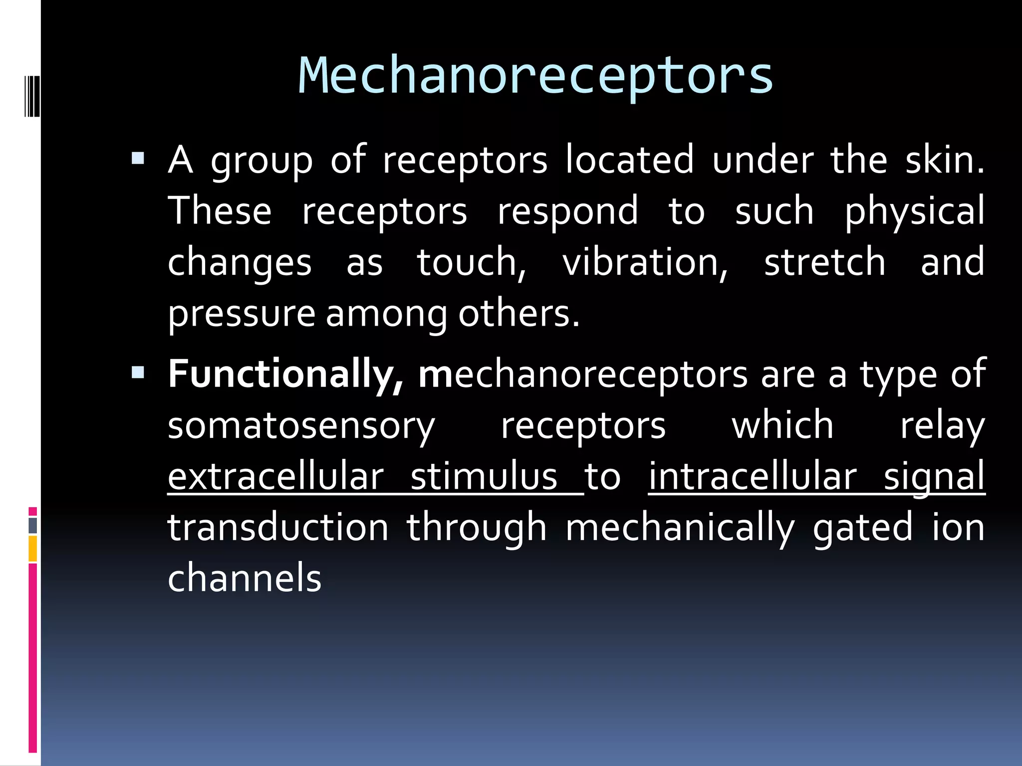 Classification of Sensory receptor 2 | PPT