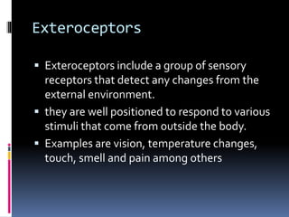 Classification of Sensory receptor 2 | PPT