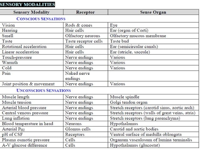 Sensory receptor.pptx