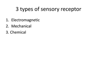 Sensory receptor.pptx