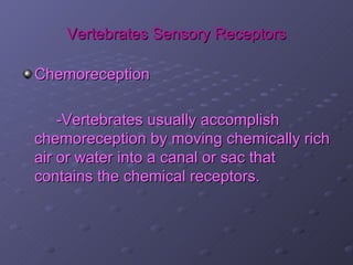 Sensory receptors | PPT