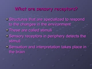 Sensory Receptors In The Brain