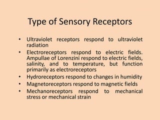 Sensory receptors | PPTX