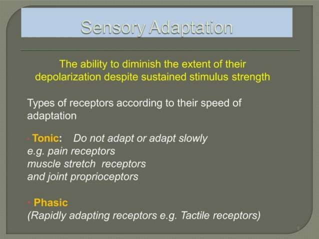 Sensory receptors Central Nervous System .pptx