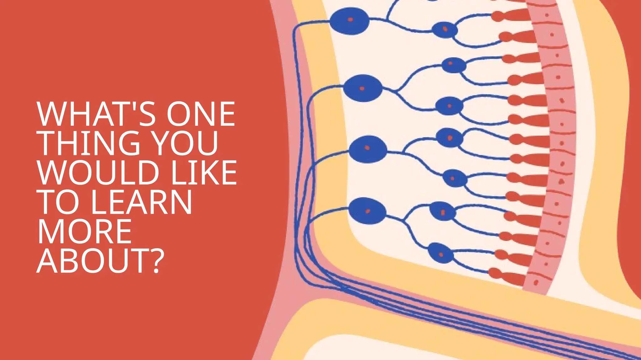 Powerpoint presentation SENSORY RECEPTORS.pptx