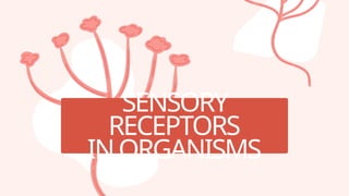 Powerpoint presentation SENSORY RECEPTORS.pptx