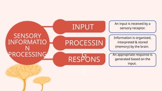 Powerpoint presentation SENSORY RECEPTORS.pptx