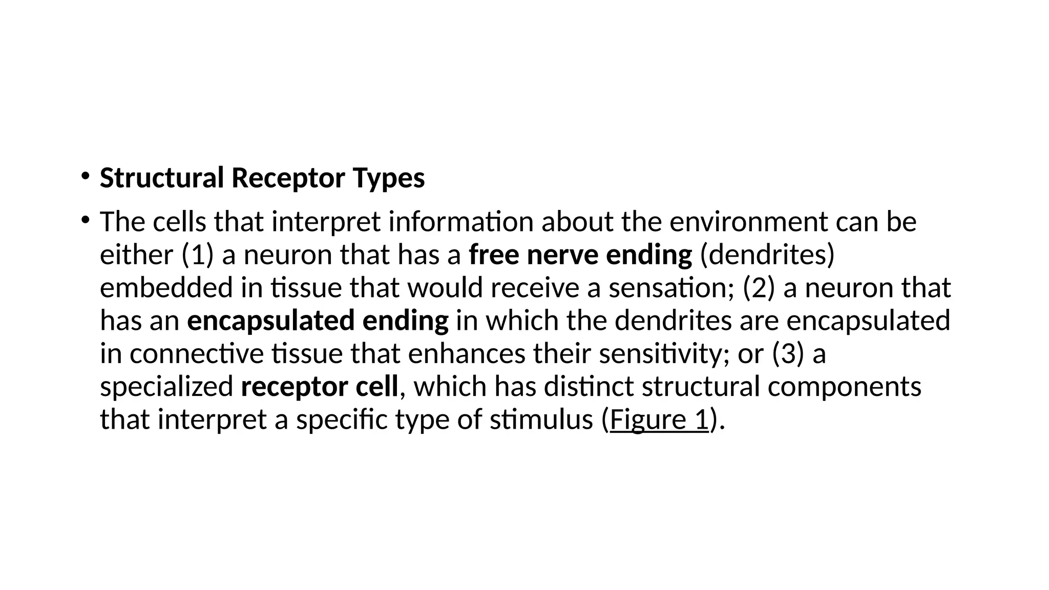 sensory receptors.pptx it is top class slides in Pakistan | PPT