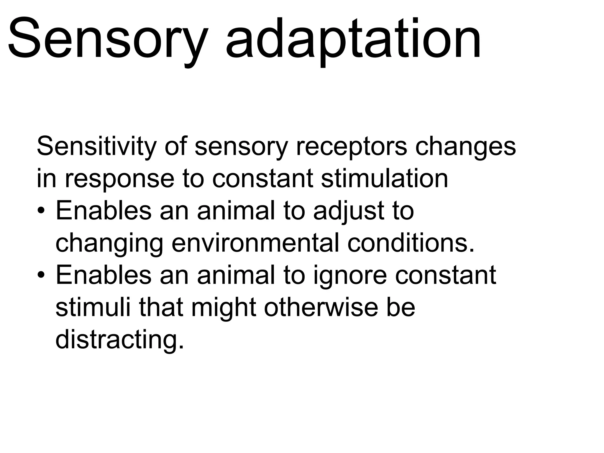 Sensory receptors animal systems | PPTX