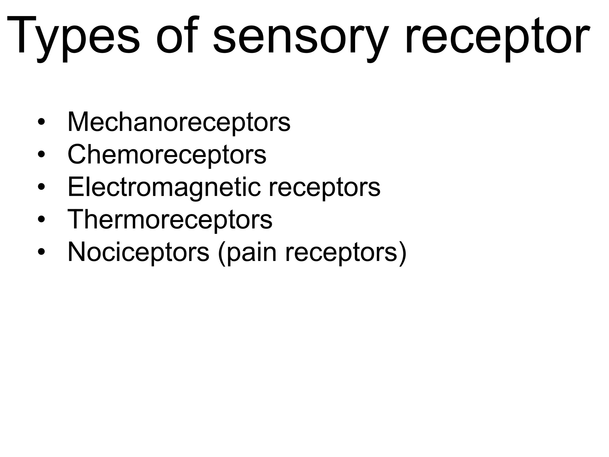 Sensory receptors animal systems | PPT | Free Download