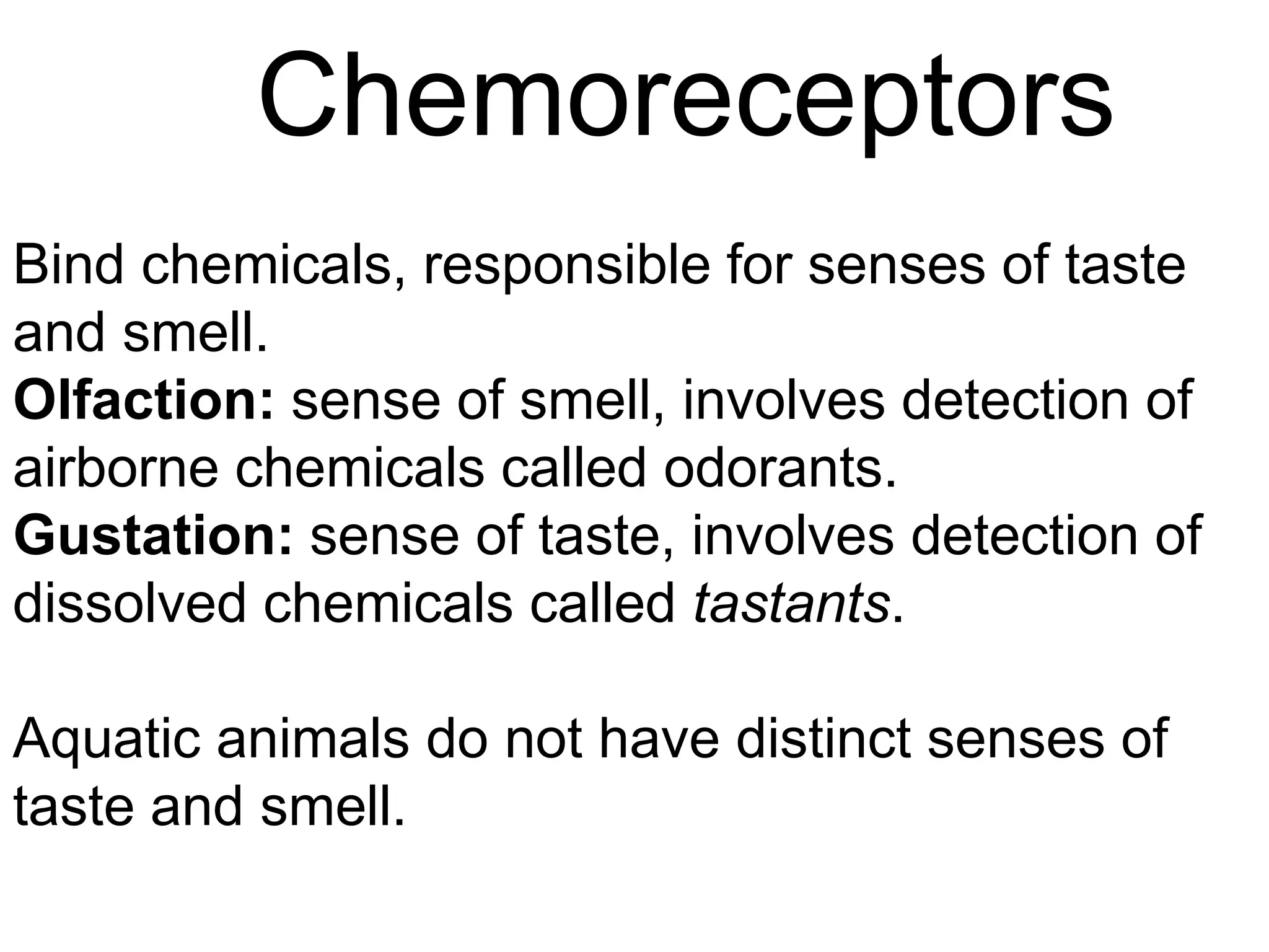 Sensory receptors animal systems | PPTX