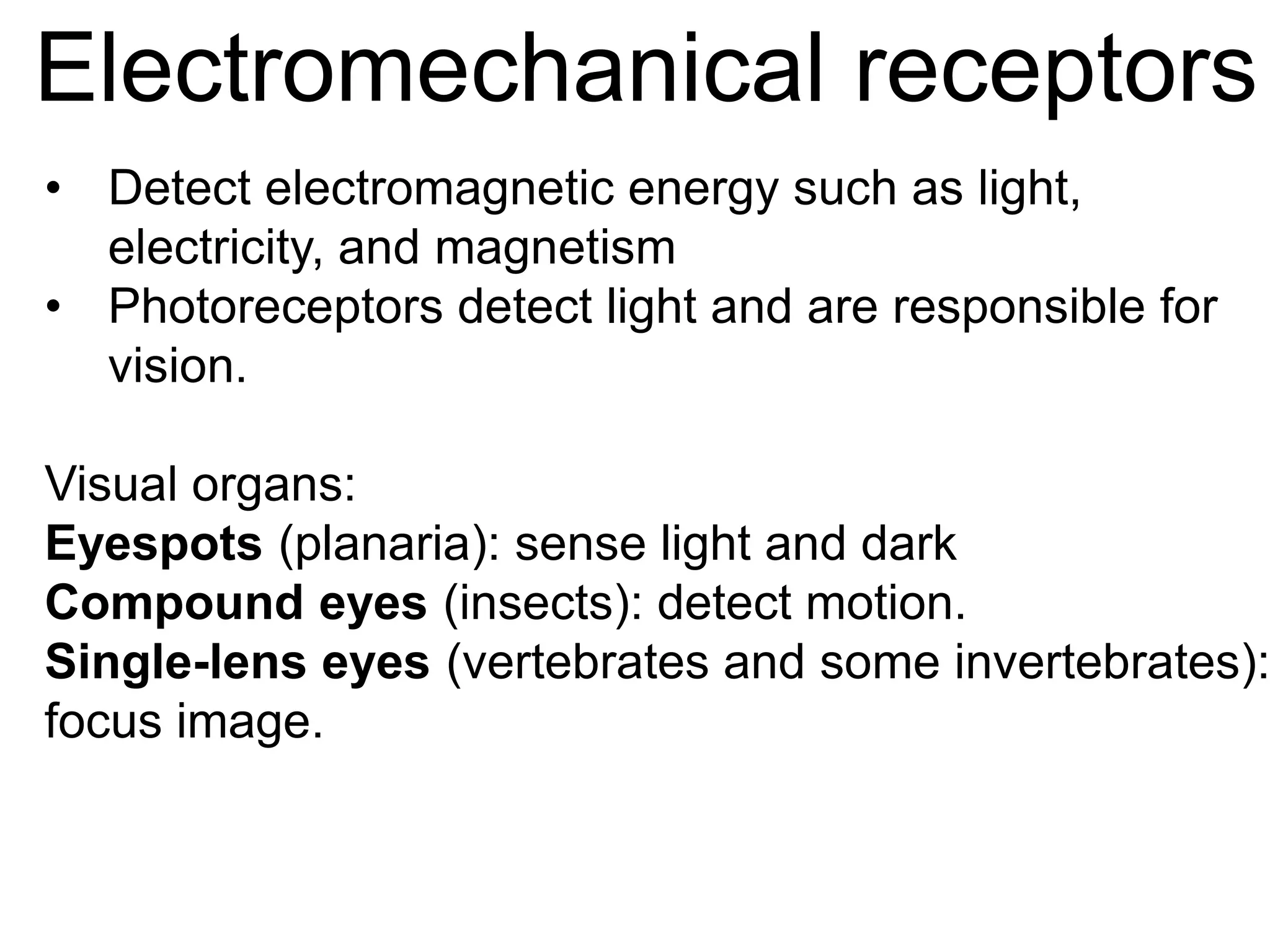 Sensory receptors animal systems | PPTX