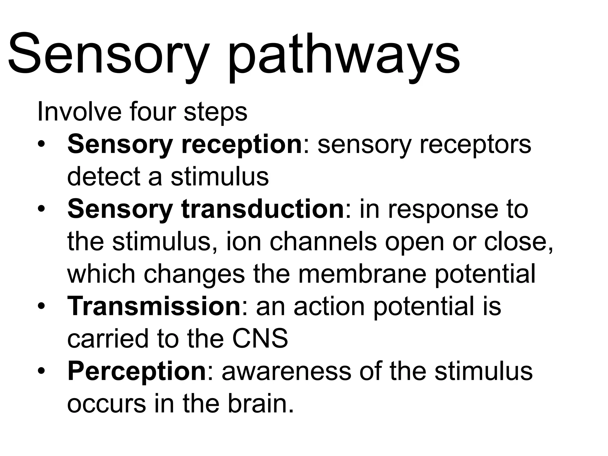 Sensory receptors animal systems | PPT