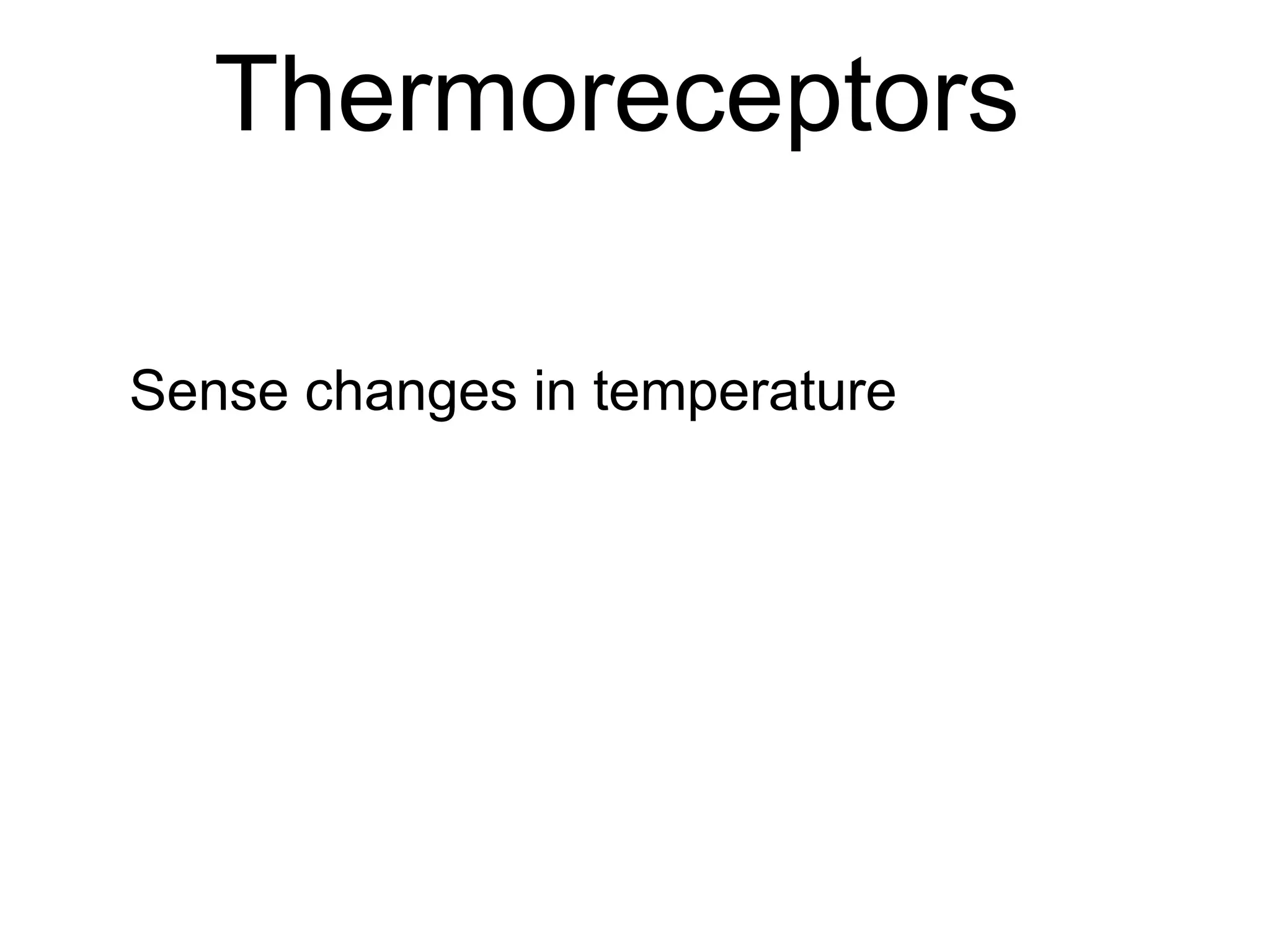 Sensory receptors animal systems | PPTX