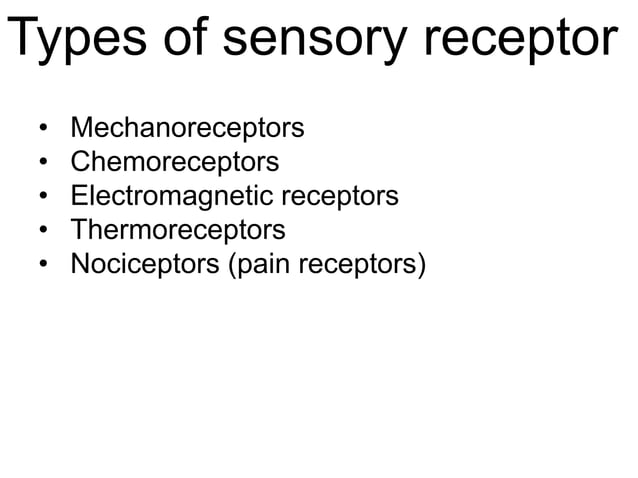Sensory receptors animal systems | PPTX