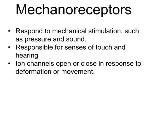 Sensory receptors animal systems | PPTX