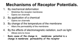 Sensory Receptors Physiology- A detailed review | PPTX