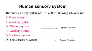 Sensory Receptors Physiology- A detailed review | PPTX