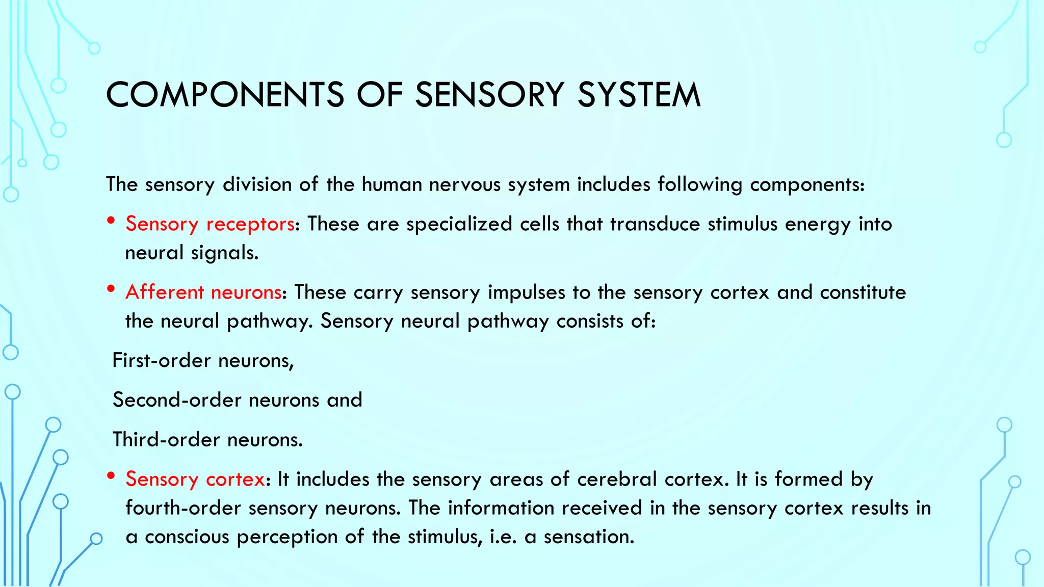 Sensory Receptors 2023 (2).pdf
