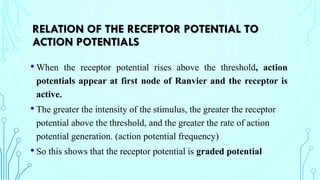 Sensory Receptors 2023 (2).pdf